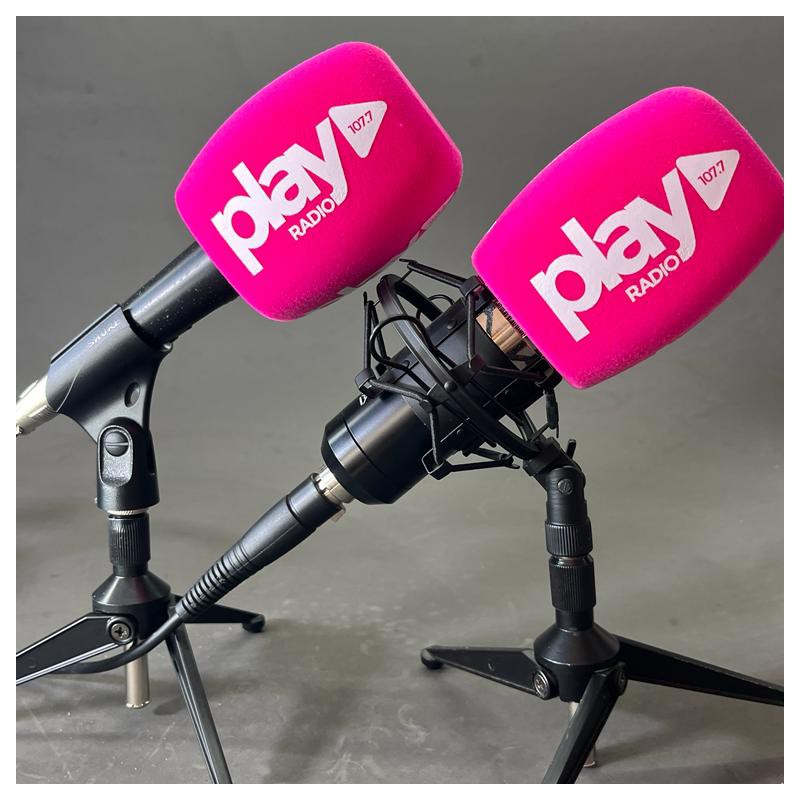 Windscreen Custom Microphone